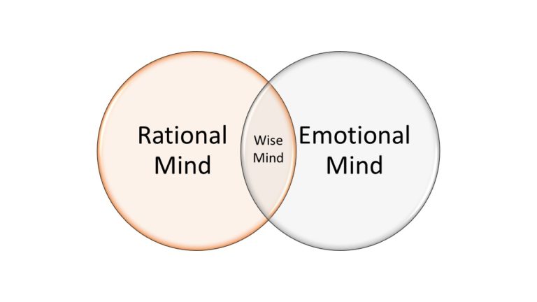 Rational nd Emotional Mind - Riding Far LLC
