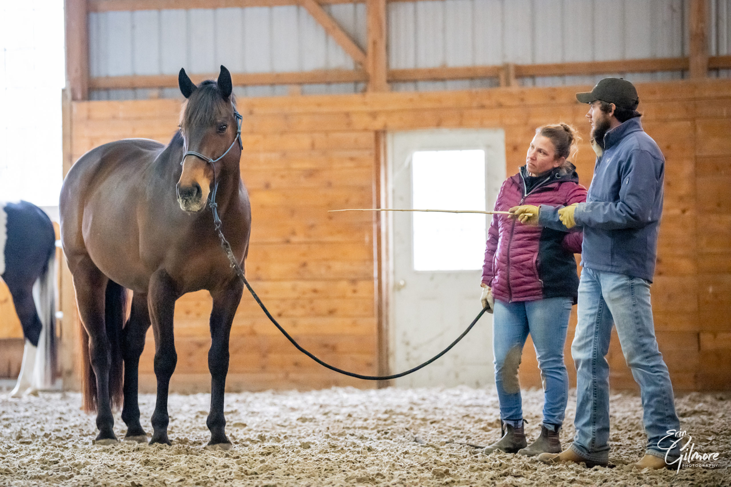Creating Resilience in Horse & Rider - Riding Far LLC